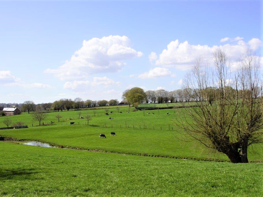 Dompierre-sur-Helpe – Chemin faisant en Avesnois